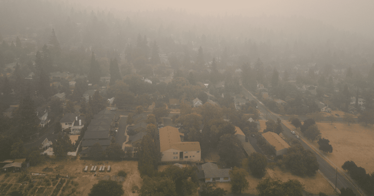 What is Air Pollution Doing to Your Lungs? - NOWINCLUDED